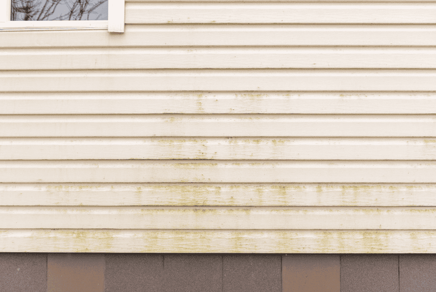 Signs It’s Time To Replace Your Home’s Siding - Neil Kelly